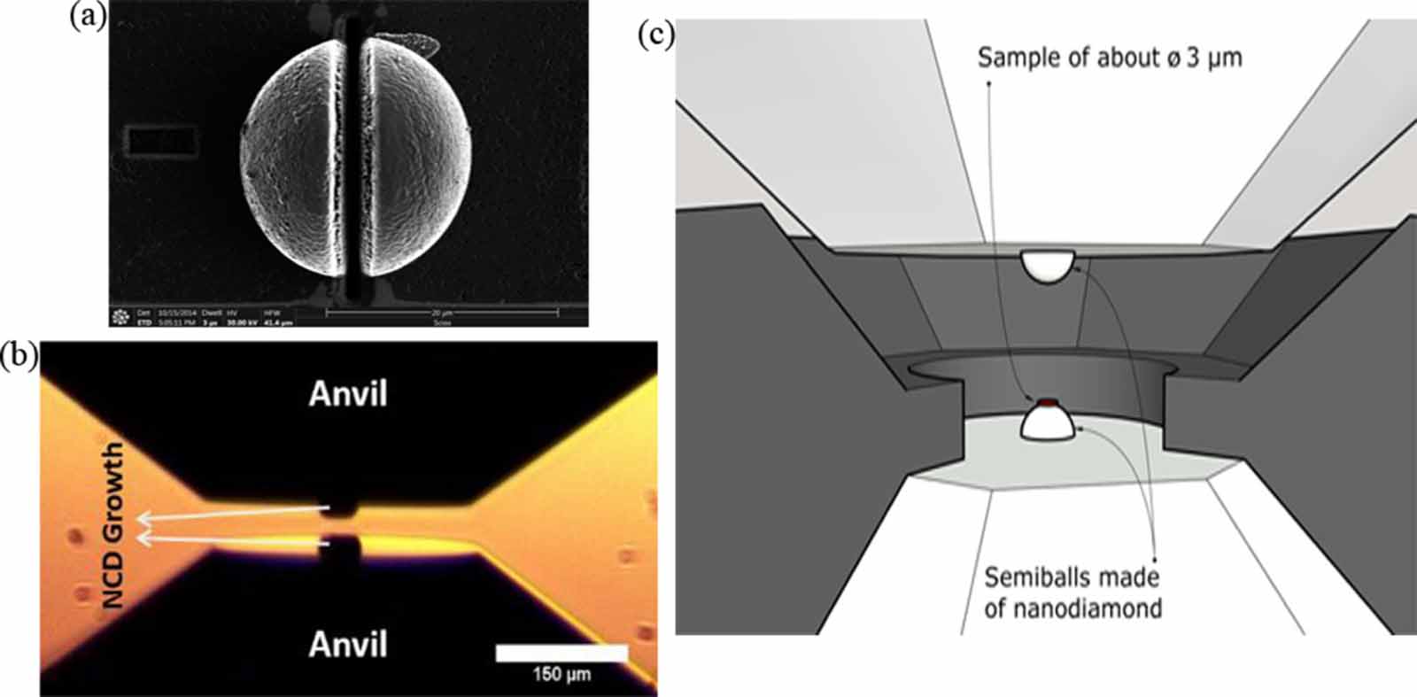 Frontier in the diamond anvil cell techniques for ultrahigh pressure ...