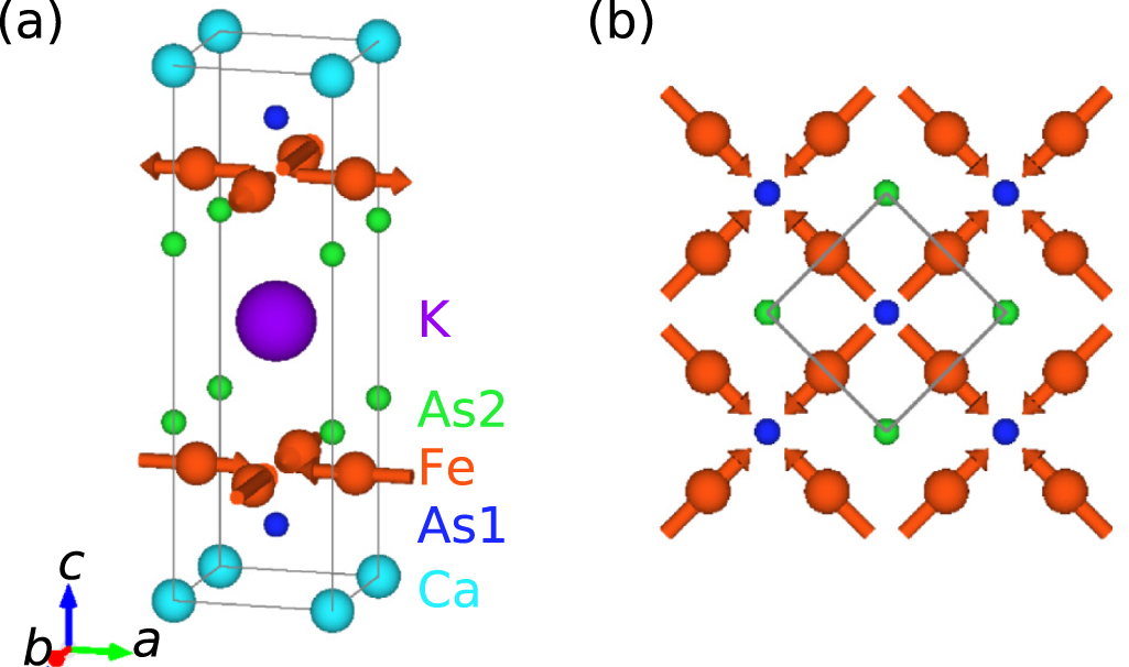 Antiferromagnetic order and its interplay with superconductivity in CaK ...