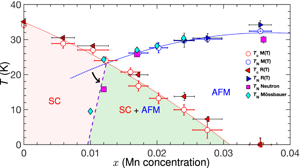 Antiferromagnetic order and its interplay with superconductivity in CaK ...