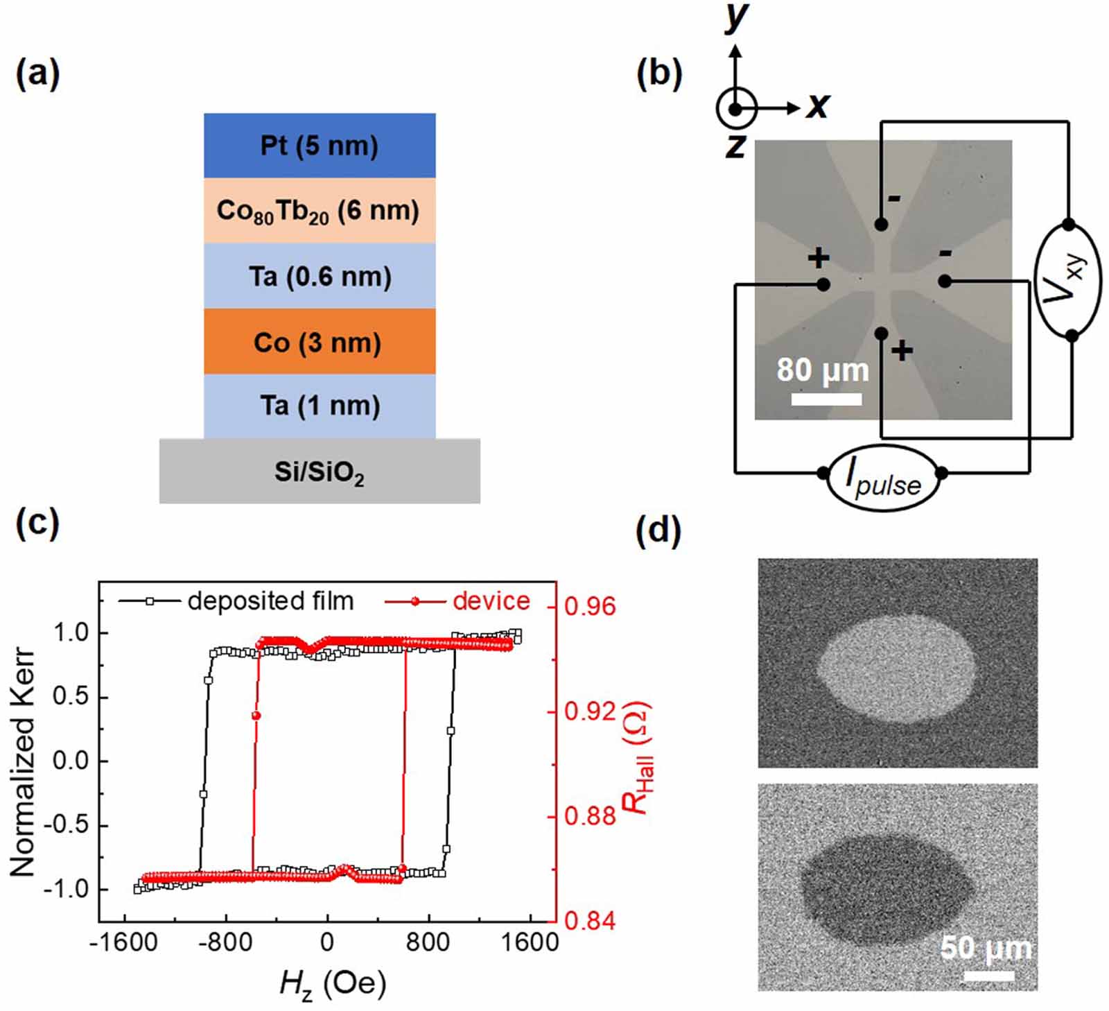 Field-free spin-orbit torque switching in interlayer exchange coupled Co/Ta/CoTb - IOPscience