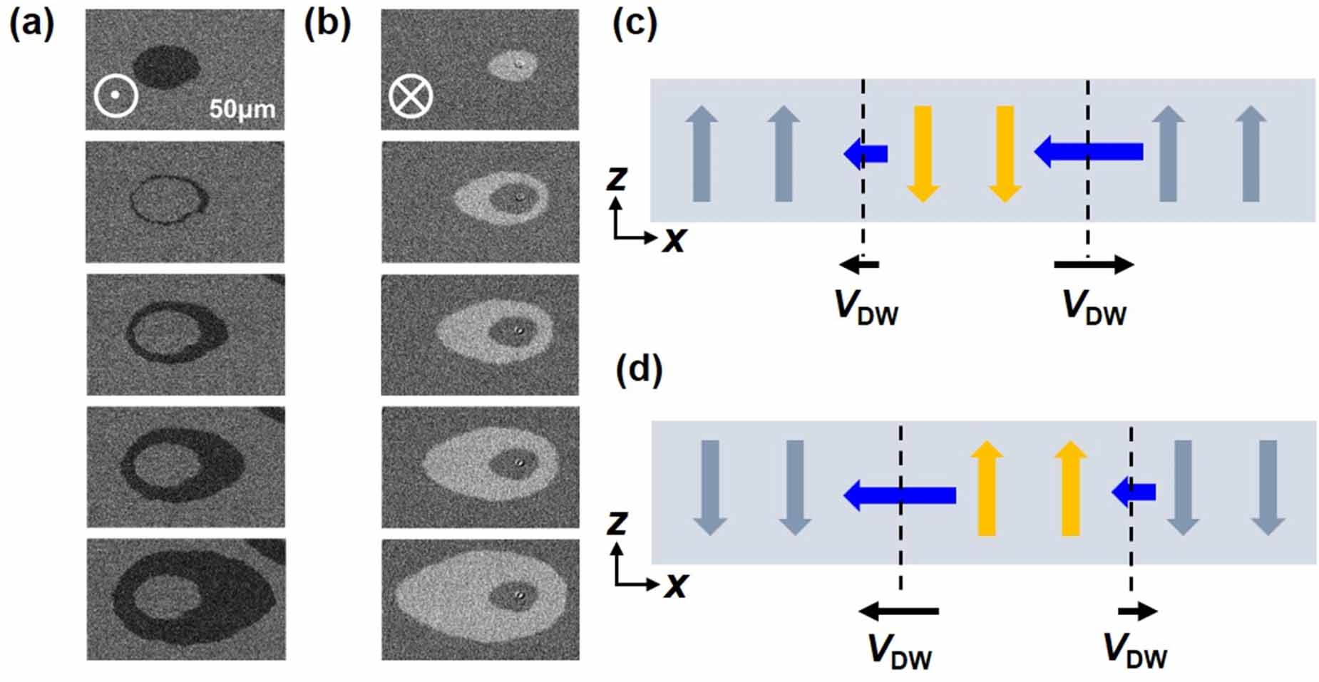 Field-free spin-orbit torque switching in interlayer exchange coupled Co/Ta/CoTb - IOPscience