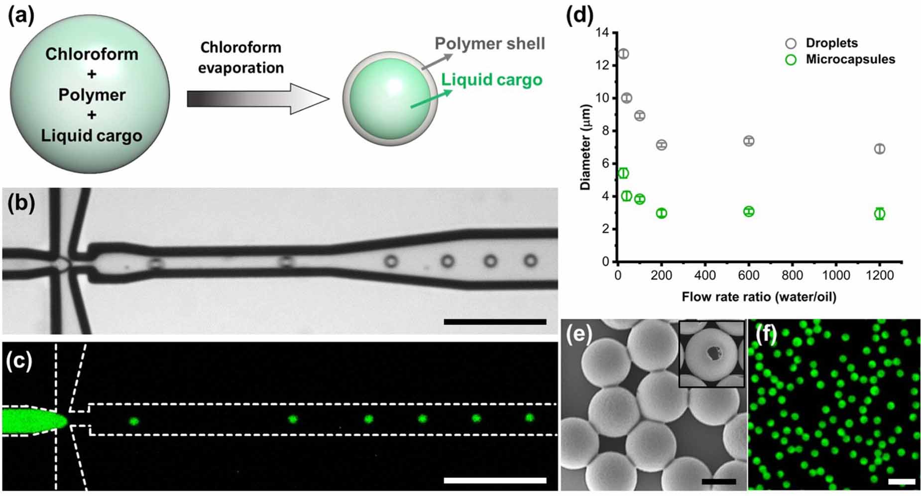 Modular assembly of microswimmers with liquid compartments - IOPscience
