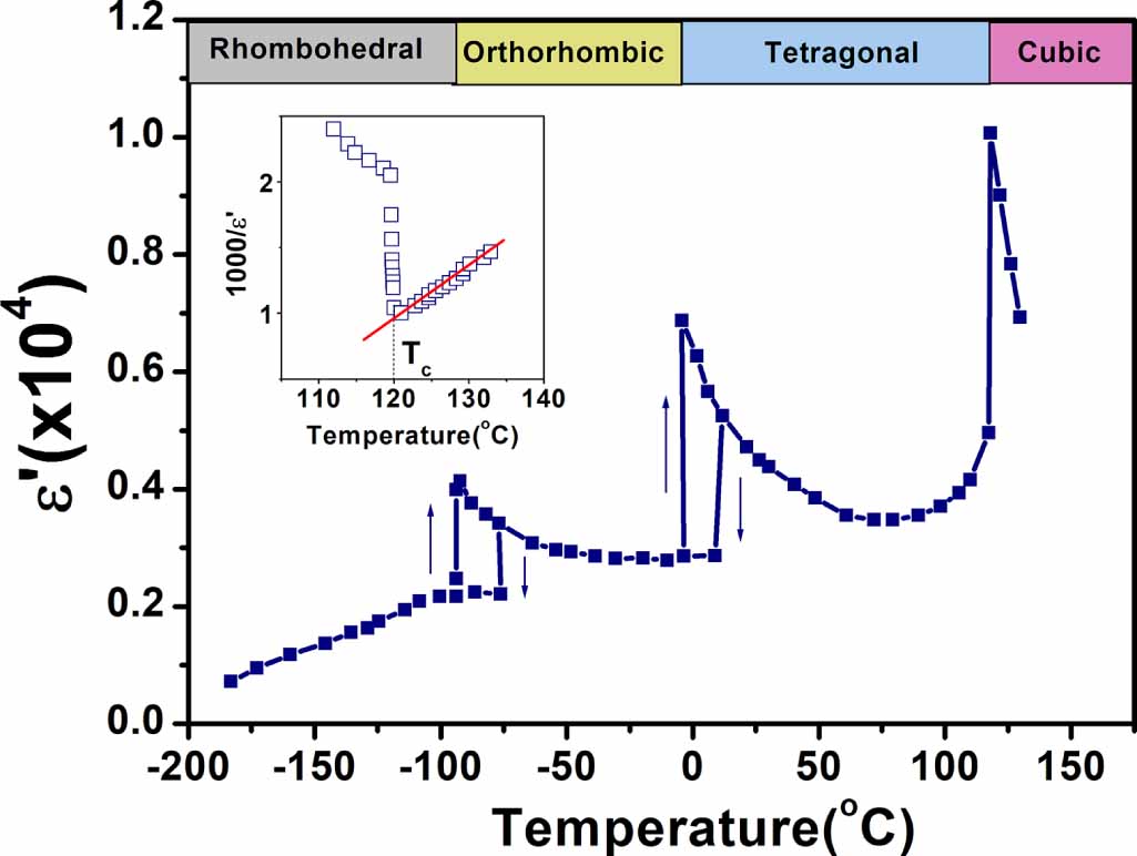 Dielectric phenomena of multiferroic oxides at acoustic- and radio-frequency - IOPscience