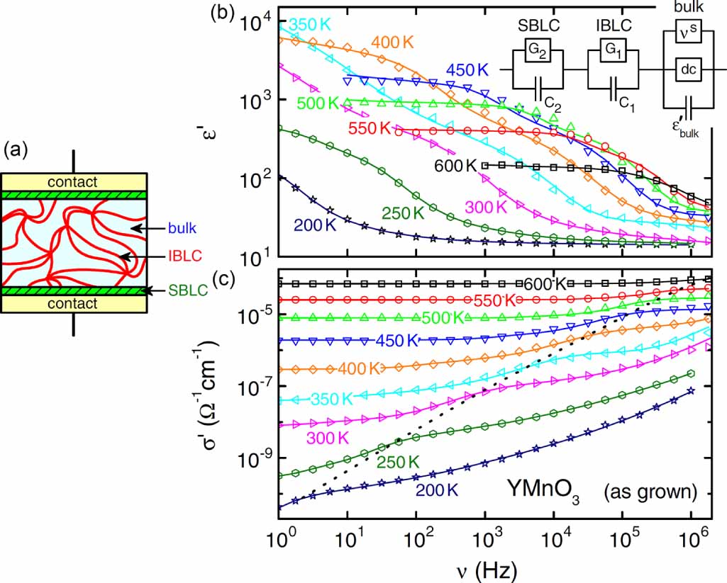 Dielectric phenomena of multiferroic oxides at acoustic- and radio ...