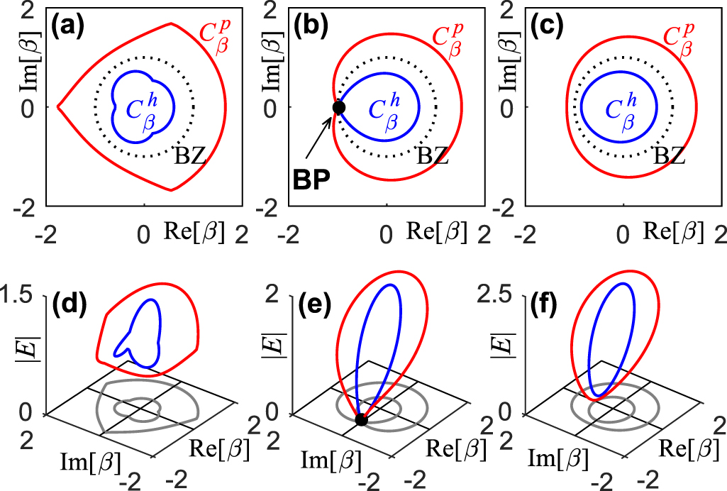 Universal characteristics of one-dimensional non-Hermitian ...