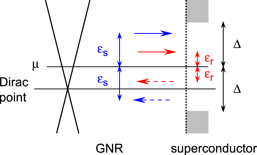 Andreev reflection in graphene nanoribbons induced by d-wave ...