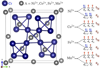 Interplay of spin and orbital ordering in a frustrated spinel chromite ...
