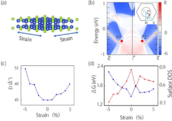 Monolayer Cu2Se: a topological catalysis in CO2 electroreduction ...