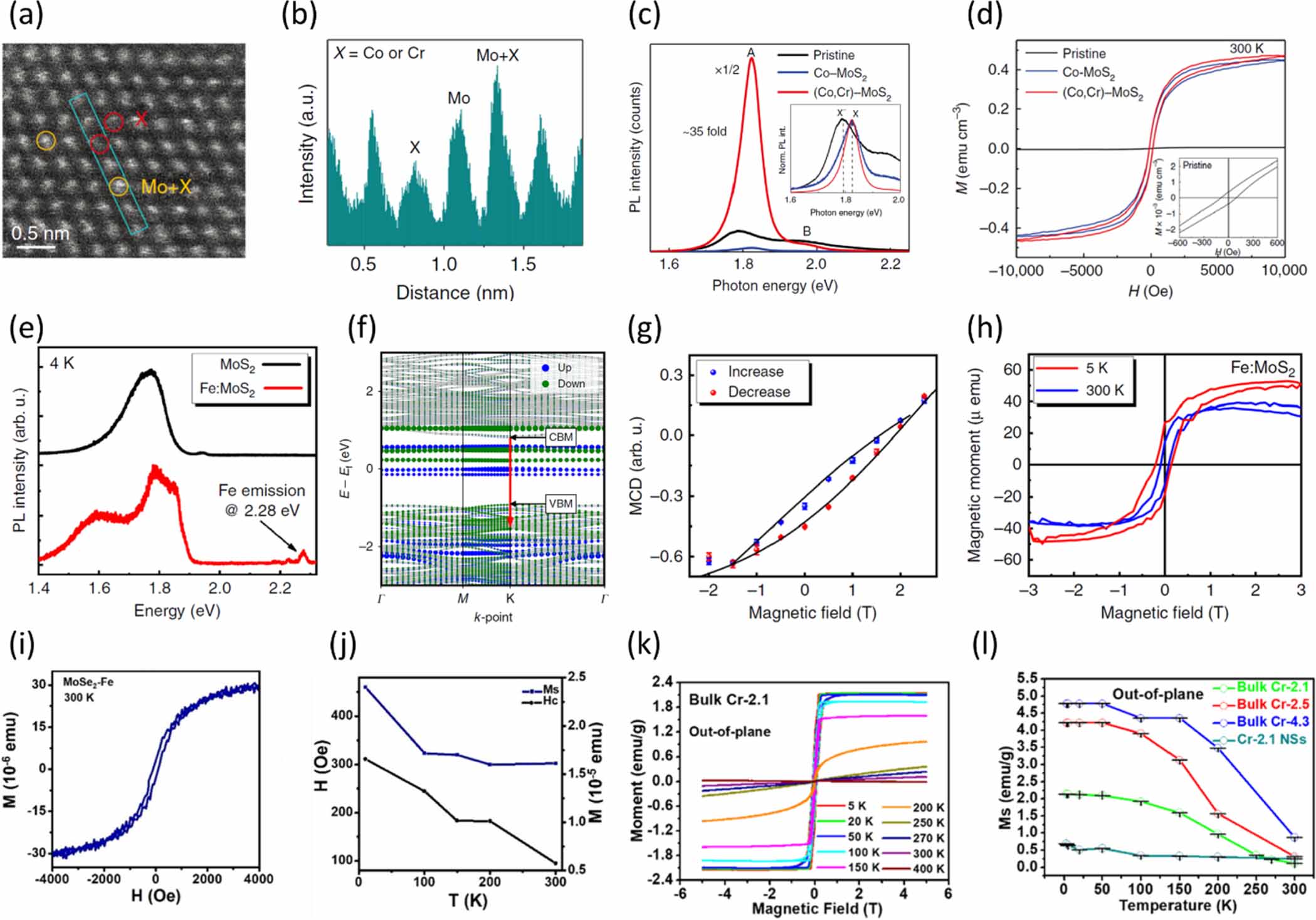 Magnetic doping in transition metal dichalcogenides - IOPscience