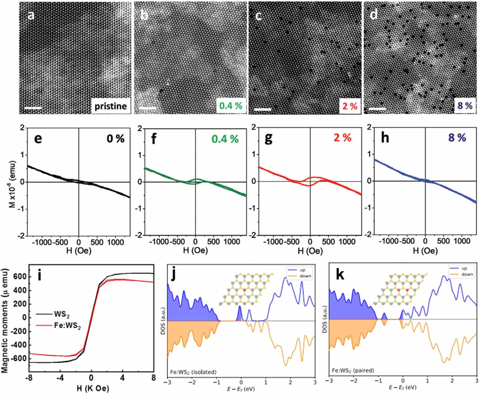 Magnetic doping in transition metal dichalcogenides - IOPscience