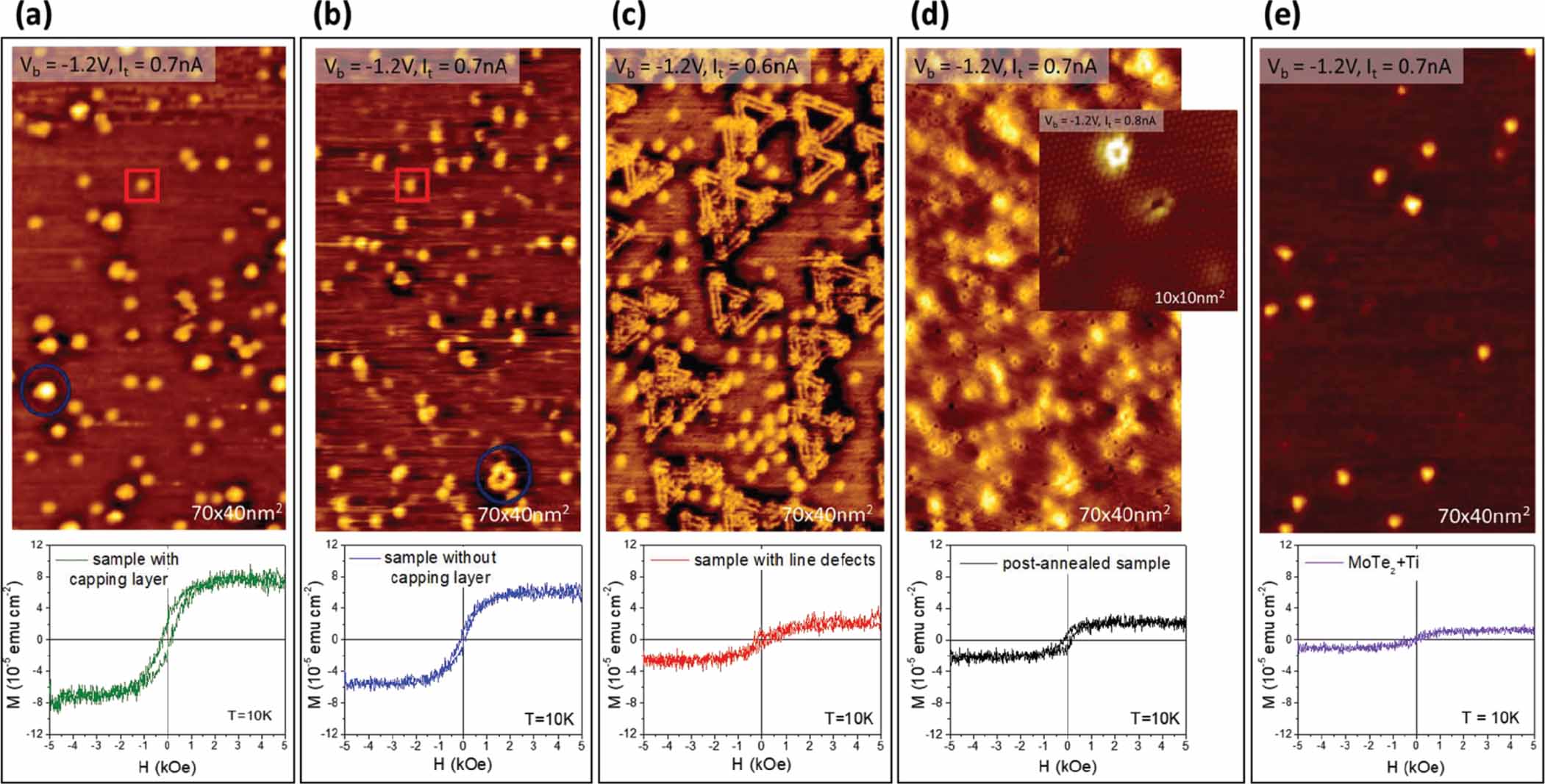 Magnetic doping in transition metal dichalcogenides - IOPscience