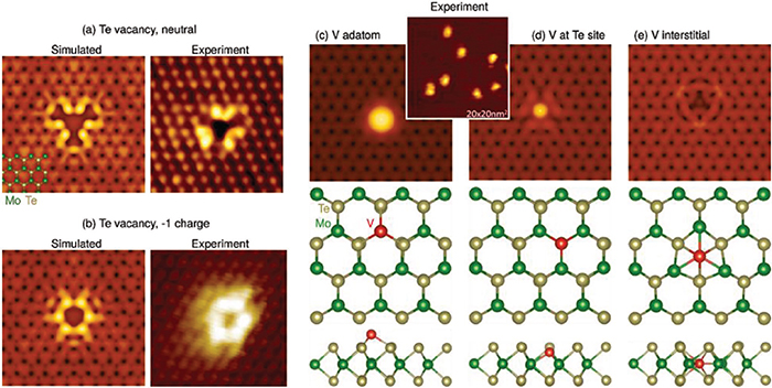 Magnetic doping in transition metal dichalcogenides - IOPscience