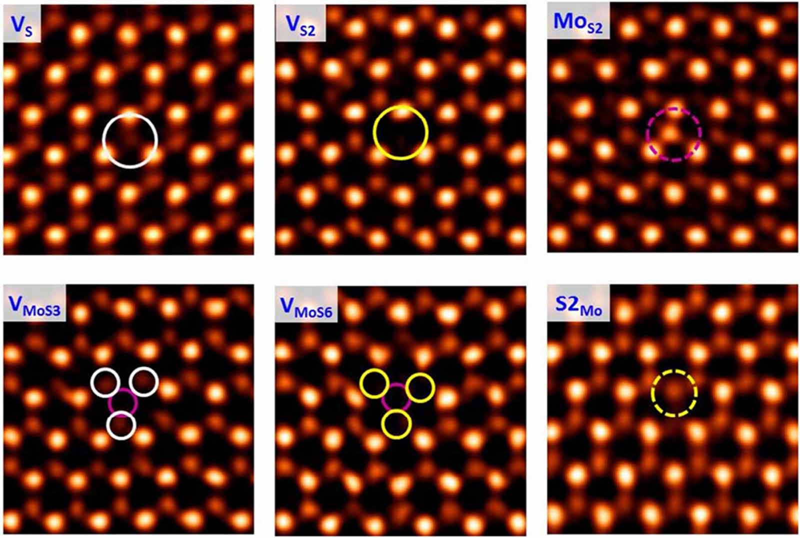 Magnetic doping in transition metal dichalcogenides - IOPscience