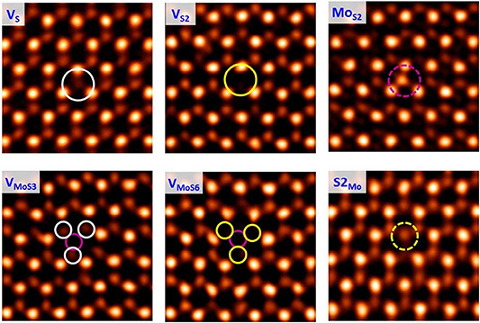 Magnetic doping in transition metal dichalcogenides - IOPscience