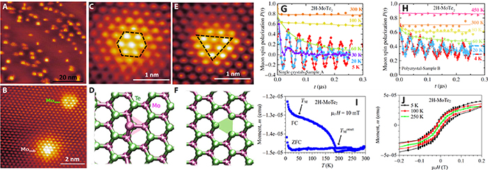 Magnetic doping in transition metal dichalcogenides - IOPscience