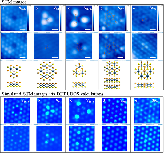 Magnetic doping in transition metal dichalcogenides - IOPscience