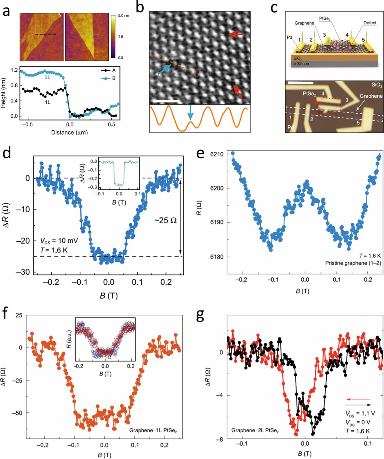 Magnetic doping in transition metal dichalcogenides - IOPscience