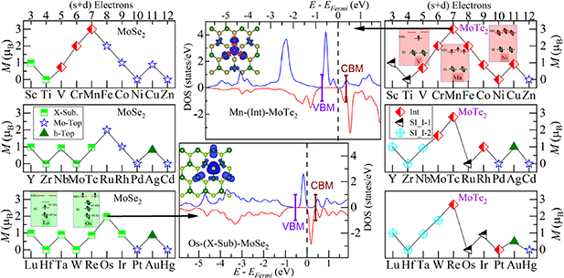Magnetic doping in transition metal dichalcogenides - IOPscience