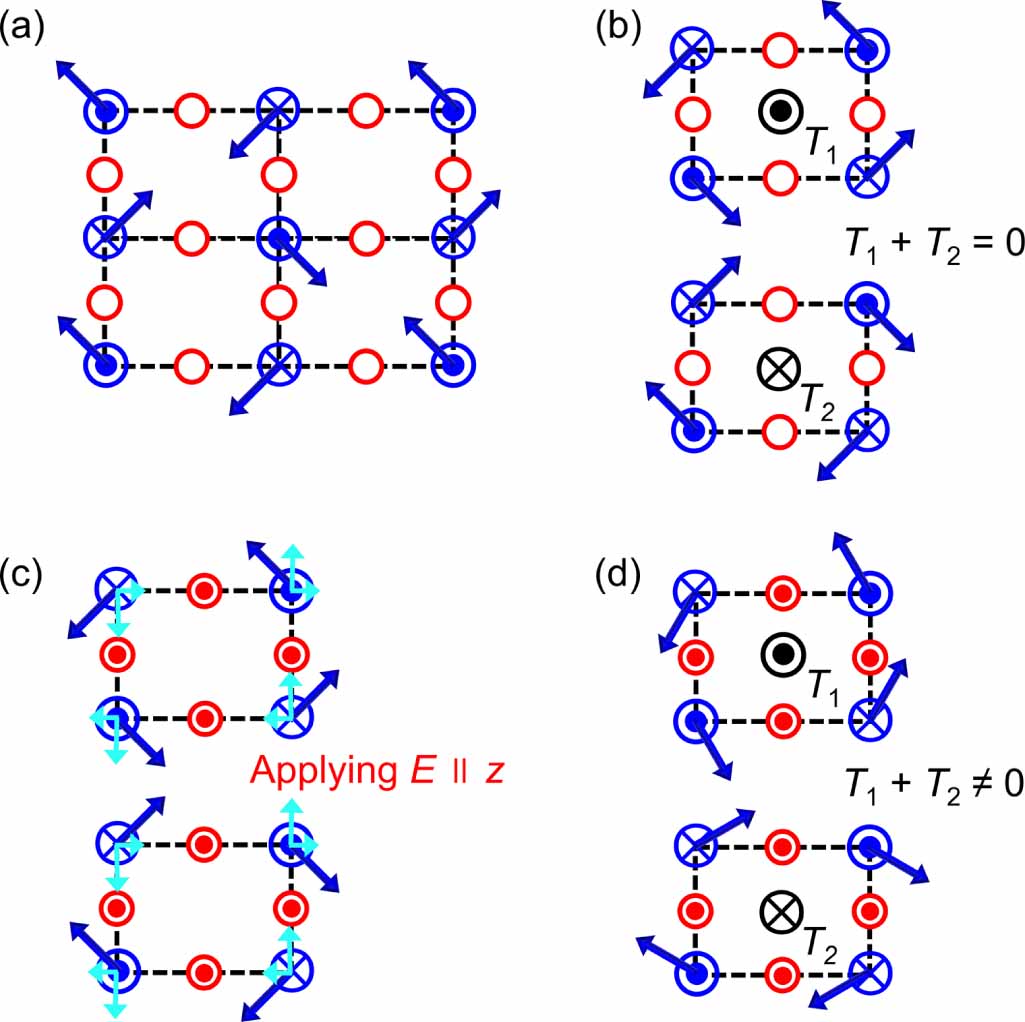 Magnetic toroidicity - IOPscience