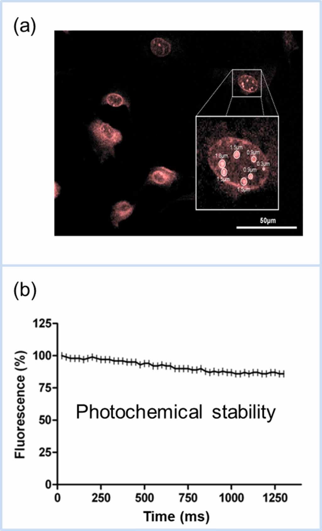 The void side of silica: surveying optical properties and applications ...
