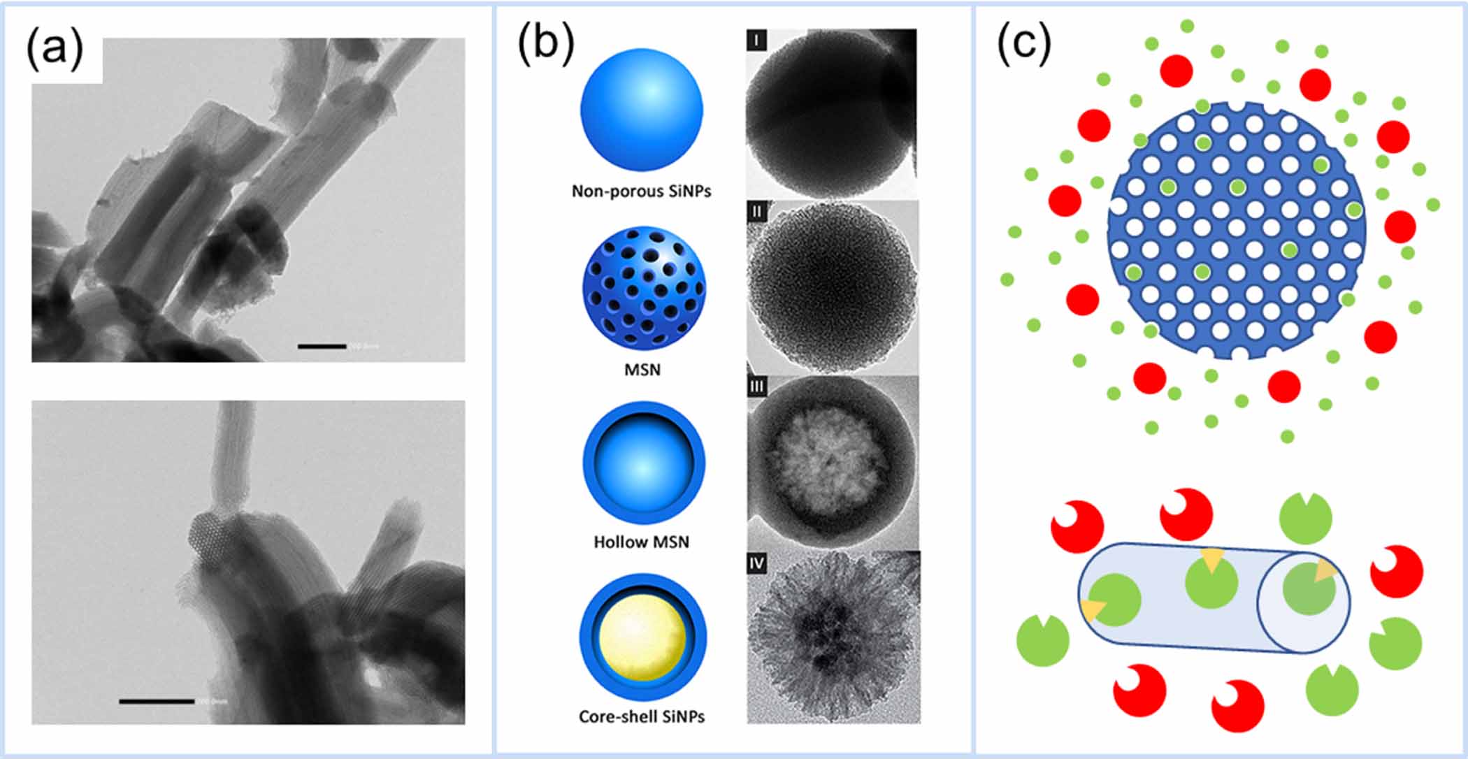 The void side of silica: surveying optical properties and applications ...