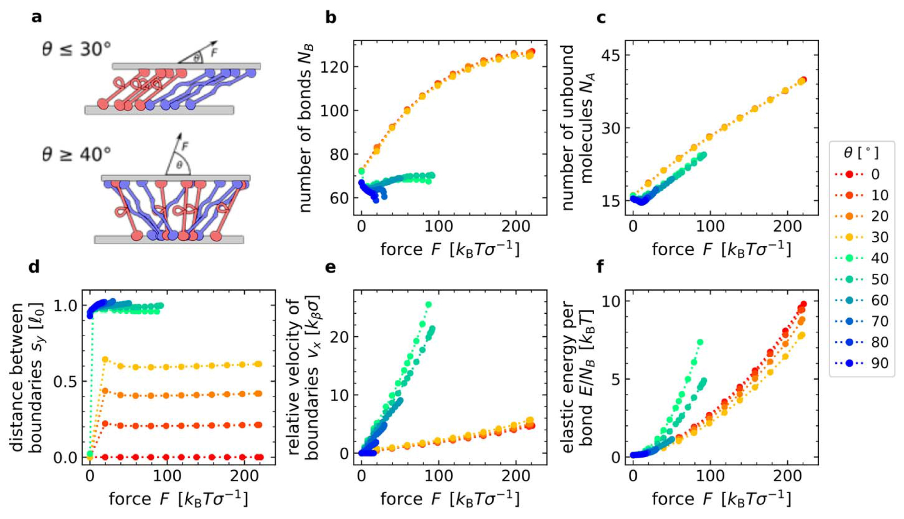Clutch model for focal adhesions predicts reduced self-stabilization ...