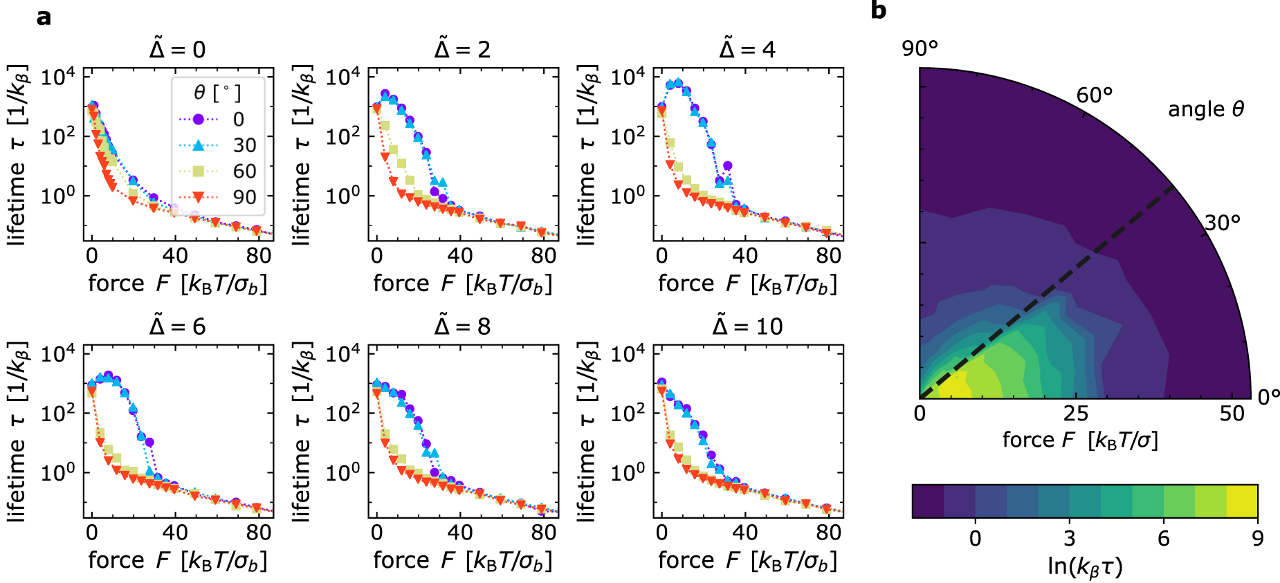 Clutch model for focal adhesions predicts reduced self-stabilization ...