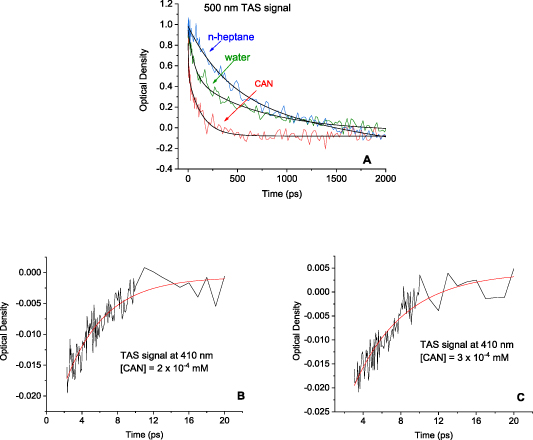 Study of rutile TiO2(110) single crystal by transient absorption ...