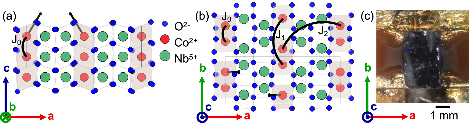 Quantum critical fluctuations in a transverse-field Ising magnet ...