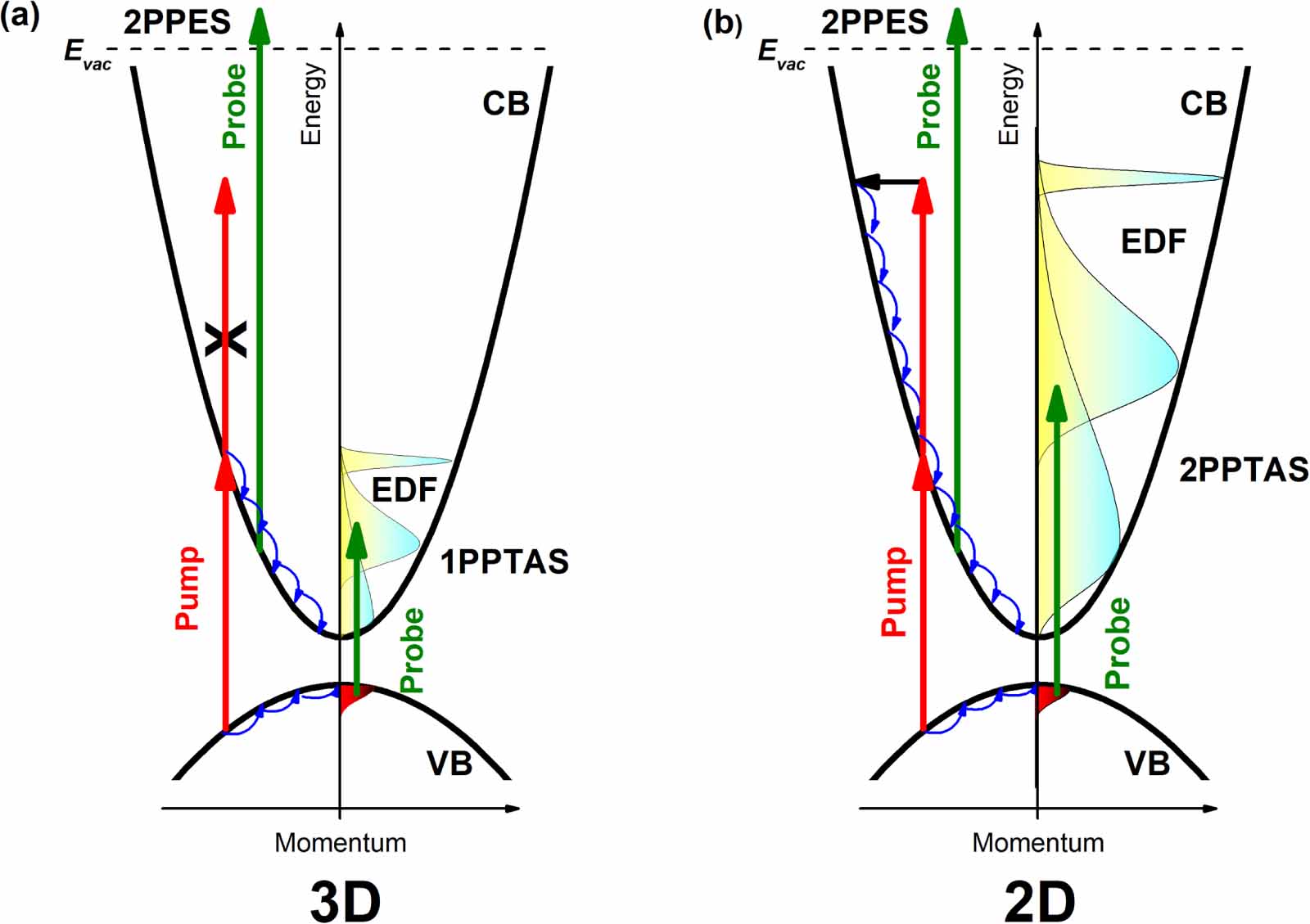 Multiphoton-pumped UV-Vis transient absorption spectroscopy of 2D ...