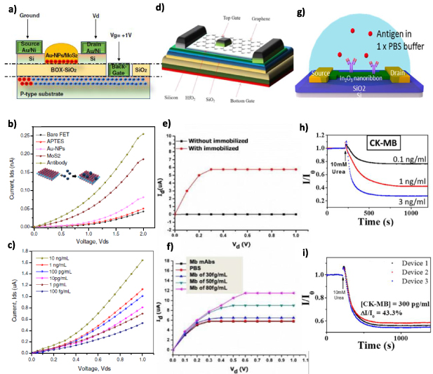 2D-Bio-FETs for sensitive detection of cardiovascular diseases - IOPscience