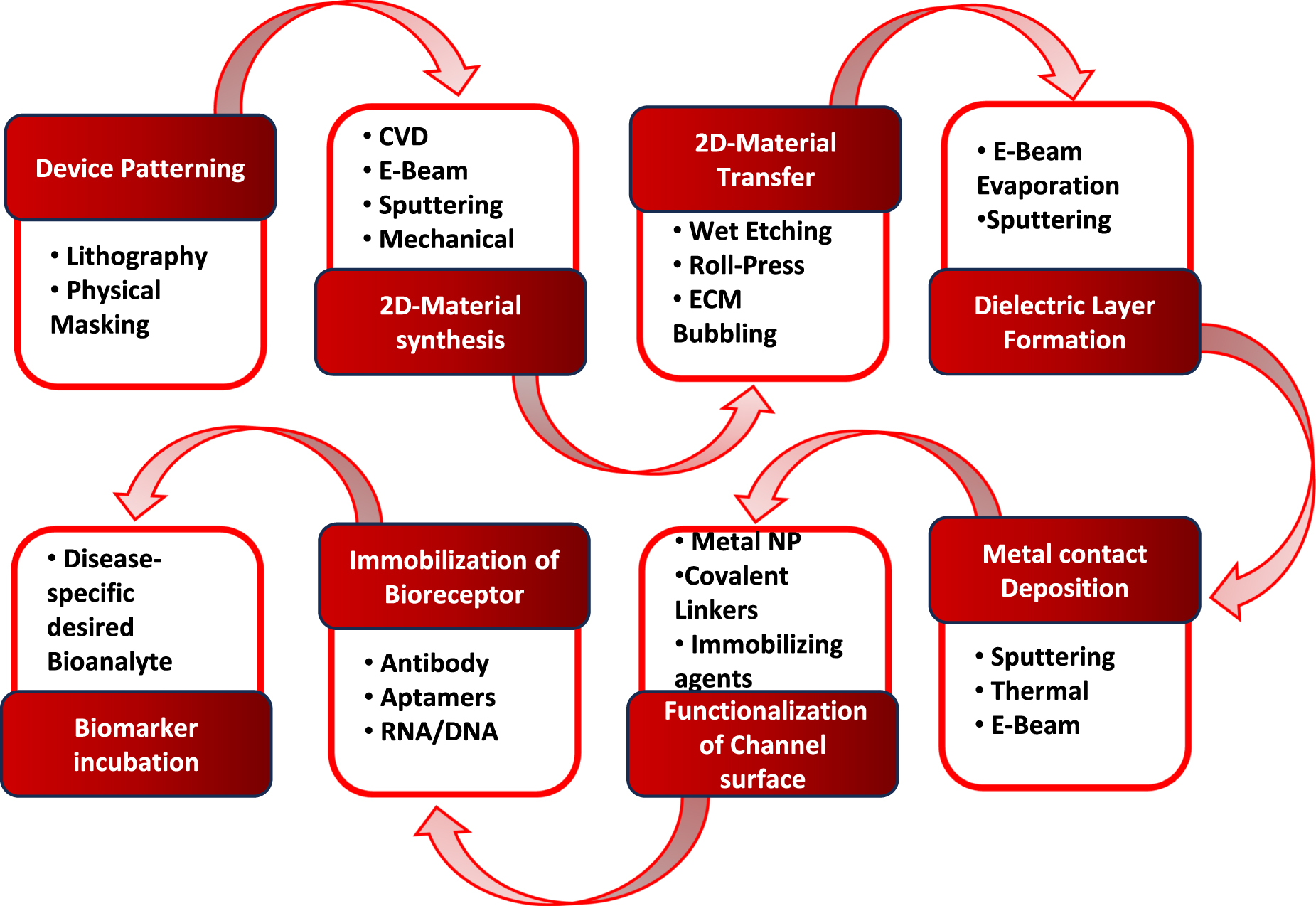 2D-Bio-FETs for sensitive detection of cardiovascular diseases - IOPscience