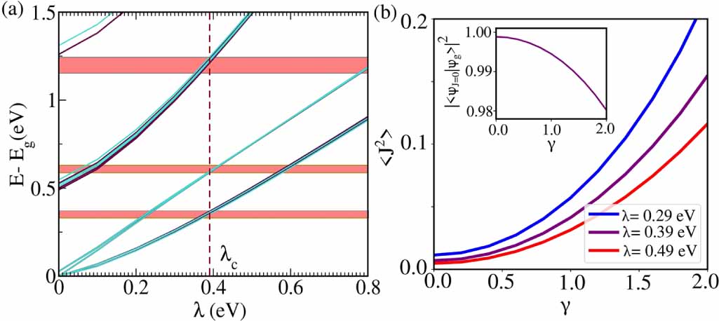 Disordered magnetic ground state in a quasi-1-D d 4 columnar iridate ...