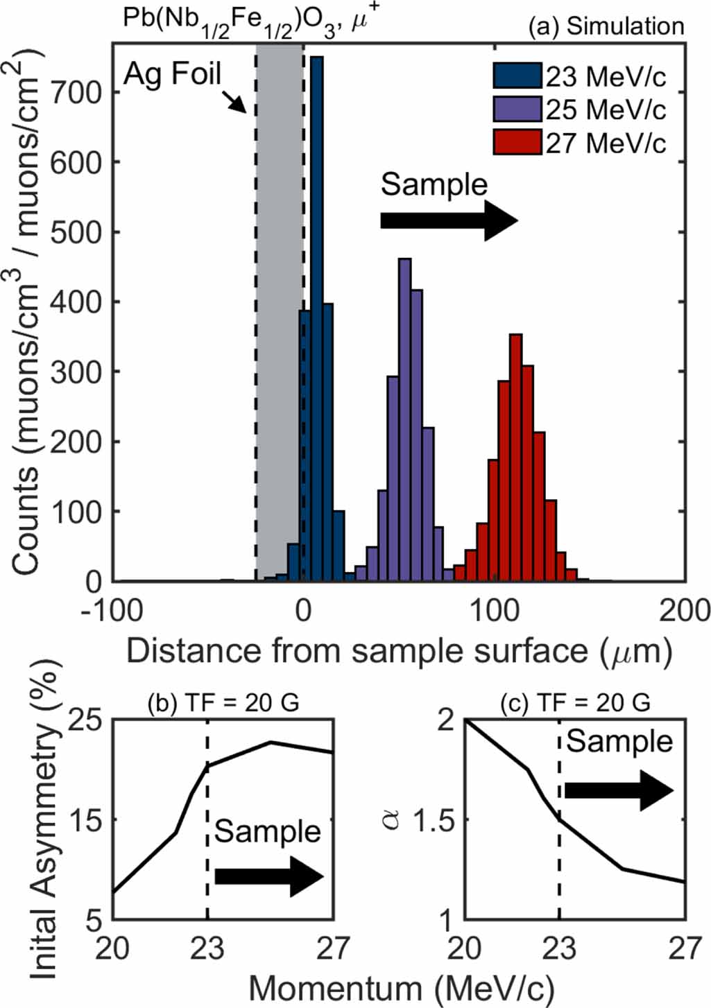 Magnetic skin effect in Pb(Fe Nb )O3 - IOPscience