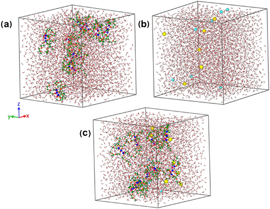 Molecular dynamics simulation of salt diffusion in constituting ...