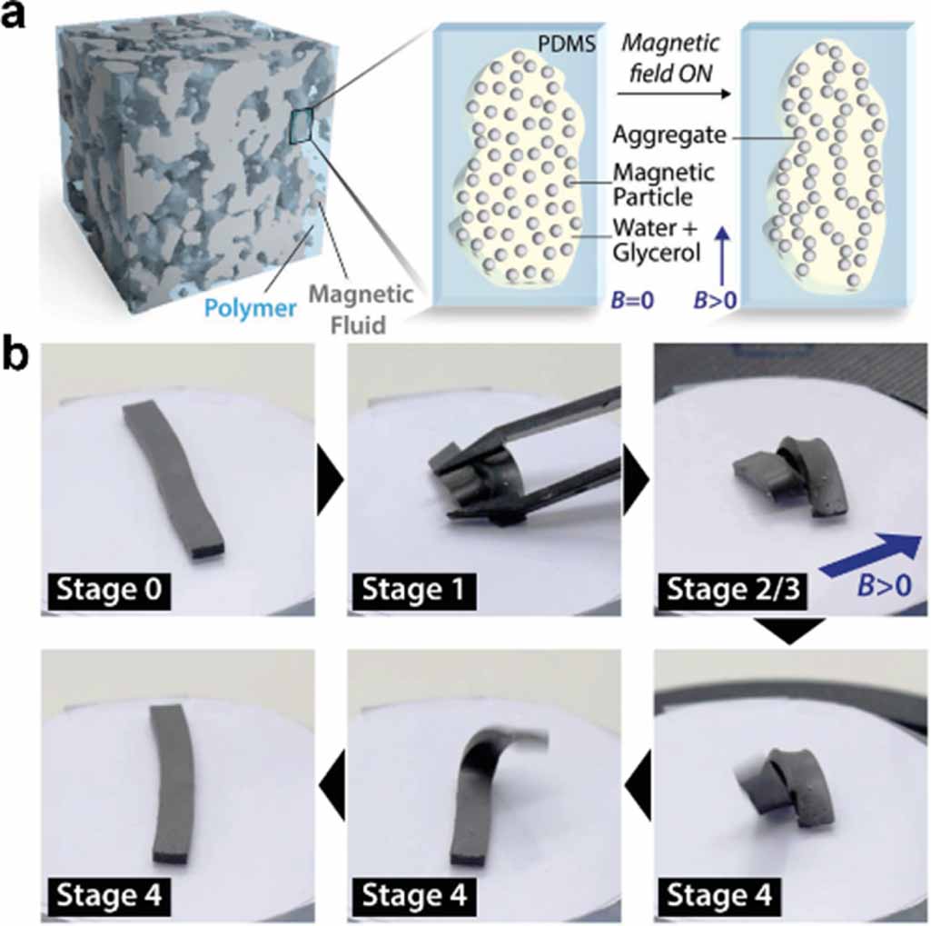 Soft composites with liquid inclusions: functional properties and ...