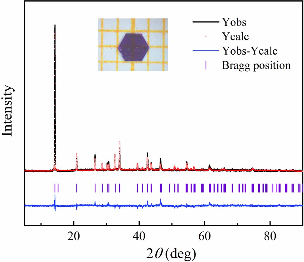 Low-temperature magnetic properties of the S = 1/2 kagomé ...