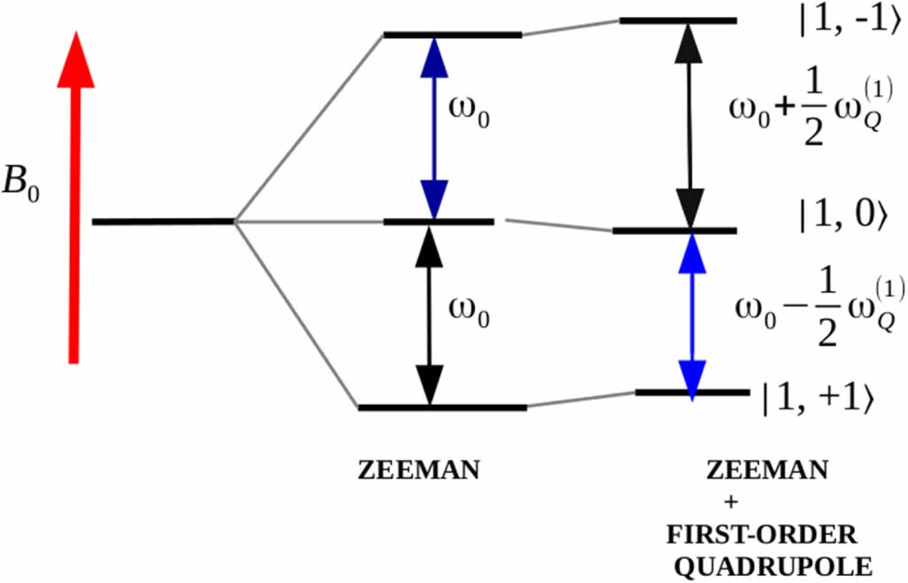 Non-equilibrium thermodynamics in NMR: understanding quadrupolar spin-1 ...