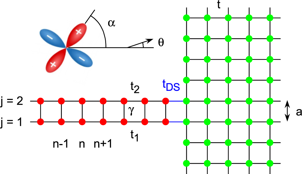 Spectroscopy of d-wave superconductors using DNA as a probing tip ...