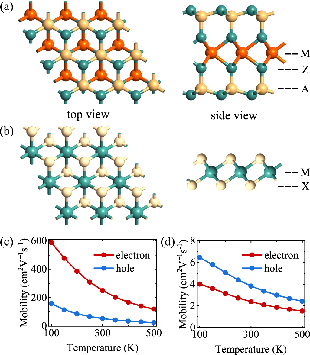 Phonon-limited carrier mobility modeling of two-dimensional ...