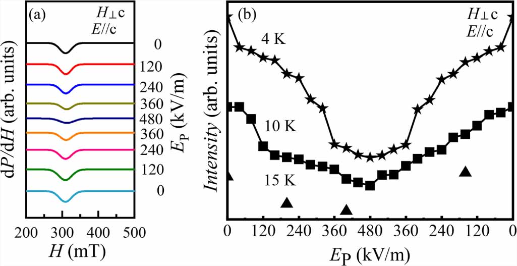 Magnetoelectric and converse magnetoelectric effects in DyCrO4 probed ...