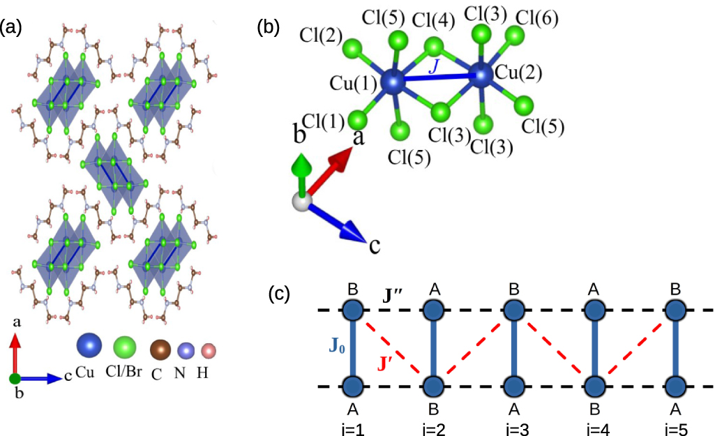 Exploring quantum phases in frustrated spin- chain and ladders: a ...