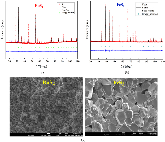 A comparative study of thermal transport properties in FeS2 and RuS2 ...