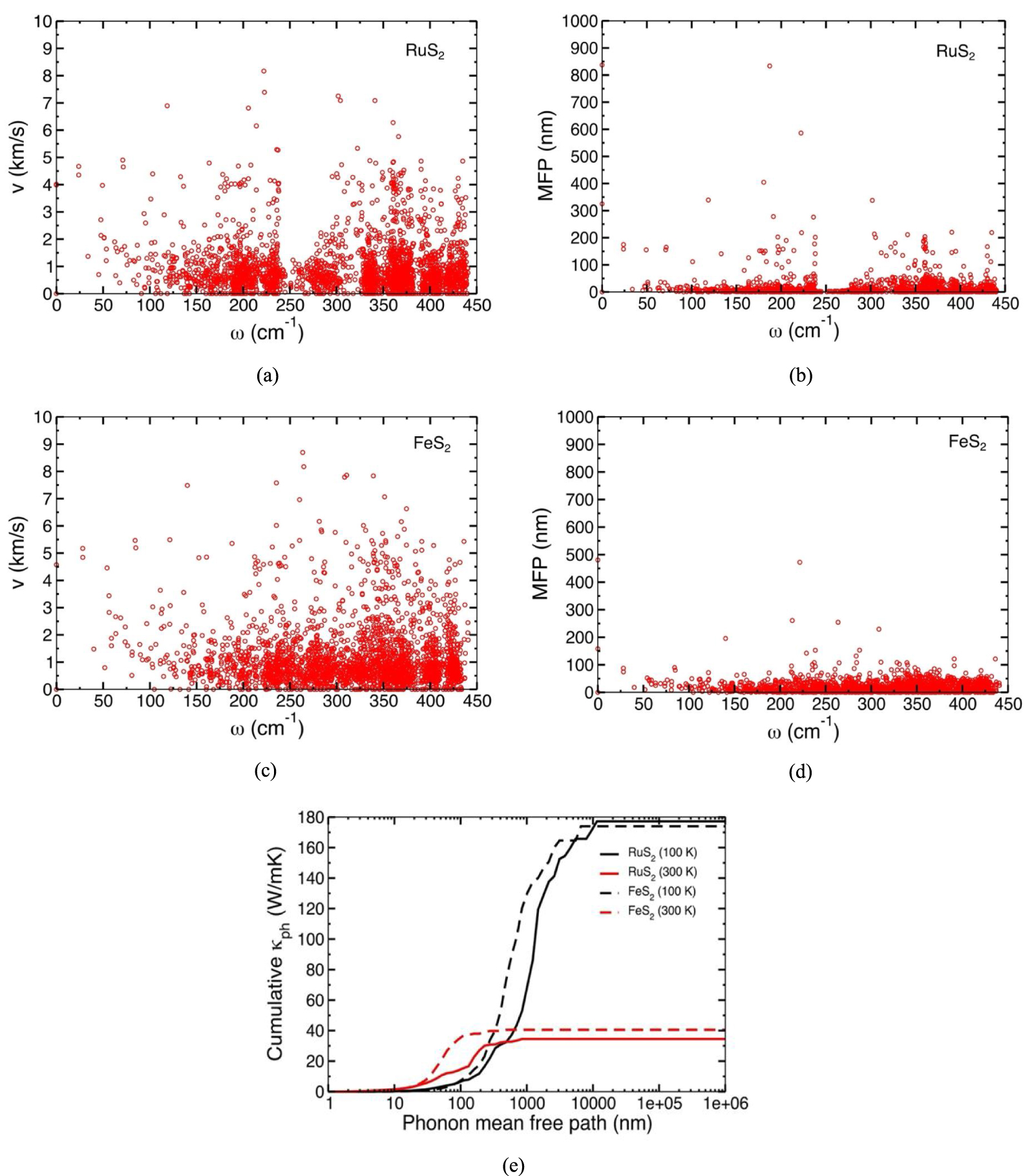 A comparative study of thermal transport properties in FeS2 and RuS2 ...