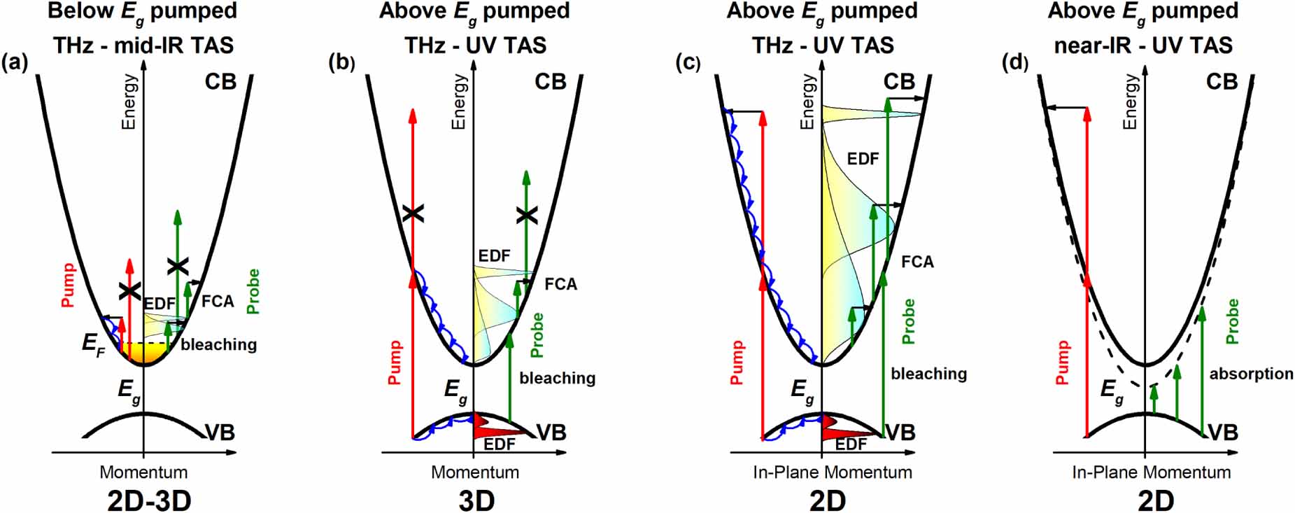 Ultrafast transient absorption spectroscopy of 2D semiconductors: a ...