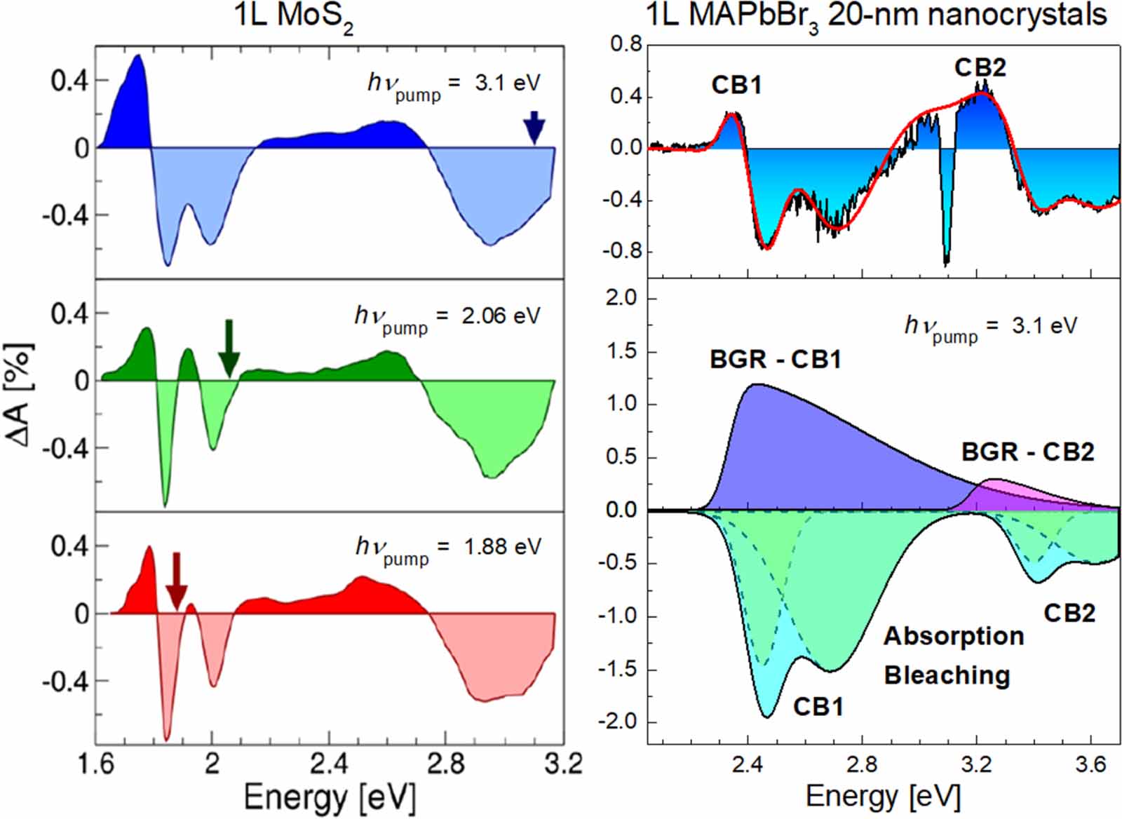 Ultrafast transient absorption spectroscopy of 2D semiconductors: a ...