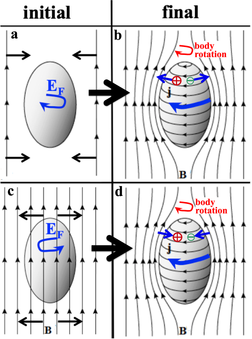The Meissner effect in superconductors: emergence versus reductionism ...