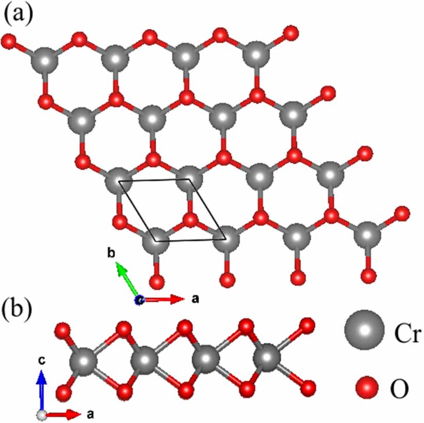 Excitonic effects and optical properties of CrO2 monolayer in 2H phases ...