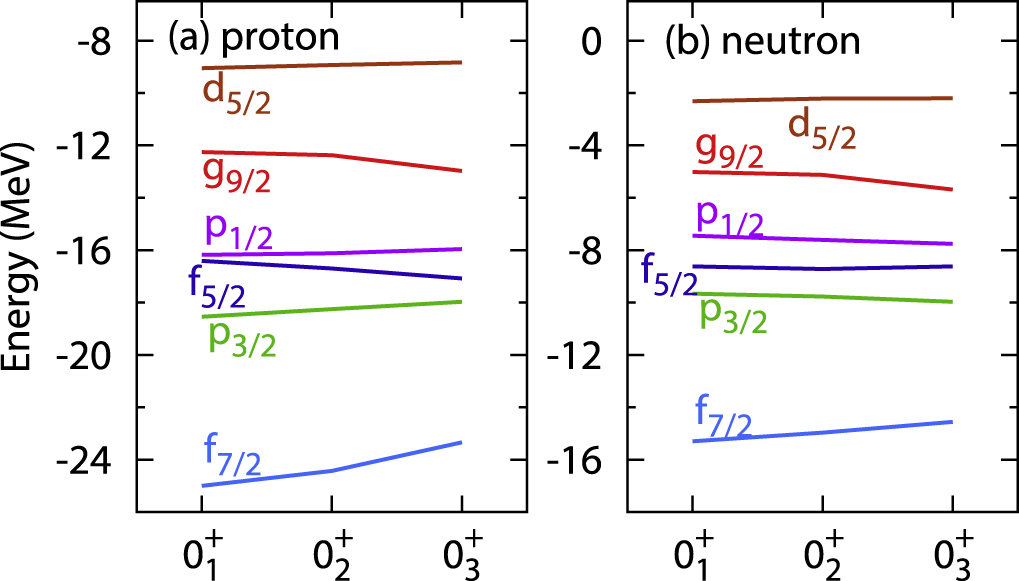 The role of shell evolution in shape coexistence - IOPscience