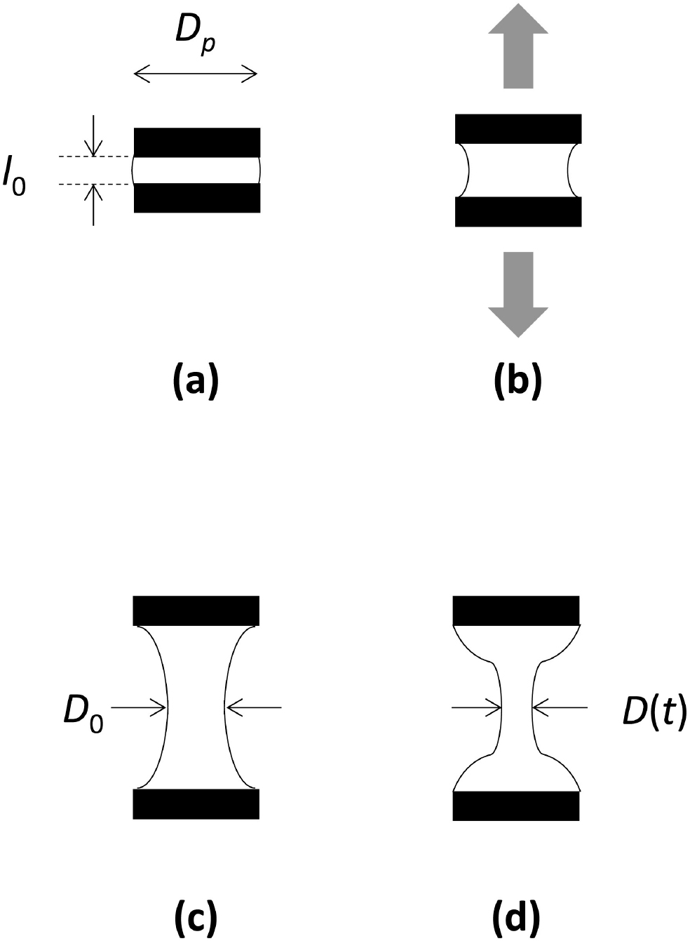 A portable and affordable extensional rheometer for field testing ...